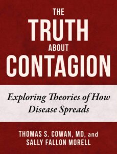 the truth about contagion: exploring theories of how disease spreads