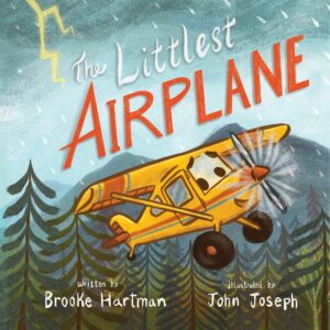 the littlest airplane