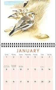 Marjolein Bastin 2023 Wall Calendar: Sea and Shore