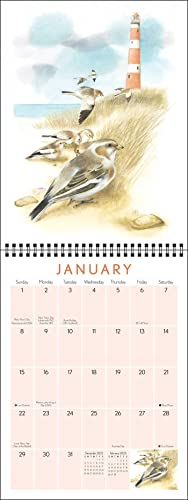 Marjolein Bastin 2023 Wall Calendar: Sea and Shore