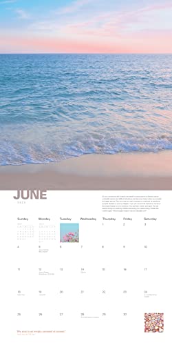 A Calendar of Calm Wall Calendar 2023: Inspirations for a Tranquil Life