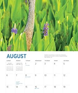 Audubon Nature Wall Calendar 2023: A Year of Breathtaking Vistas