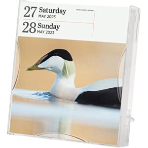 Audubon Birds Page-A-Day Gallery Calendar 2023: Hundreds of Birds, Expertly Captured by Top Nature Photographers