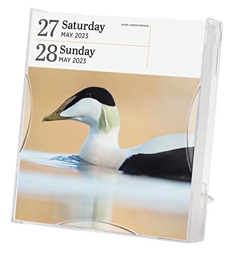 Audubon Birds Page-A-Day Gallery Calendar 2023: Hundreds of Birds, Expertly Captured by Top Nature Photographers