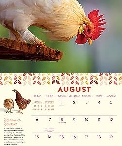 How to Speak Chicken Wall Calendar 2023: A Year of Chickens Doing What They Do & Saying What They Say