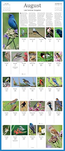 Audubon Songbirds and Other Backyard Birds Picture-A-Day Wall Calendar 2023: A Beautiful Bird Filled Way to Keep Track of 2023