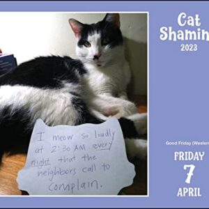 Cat Shaming 2023 Day-to-Day Calendar