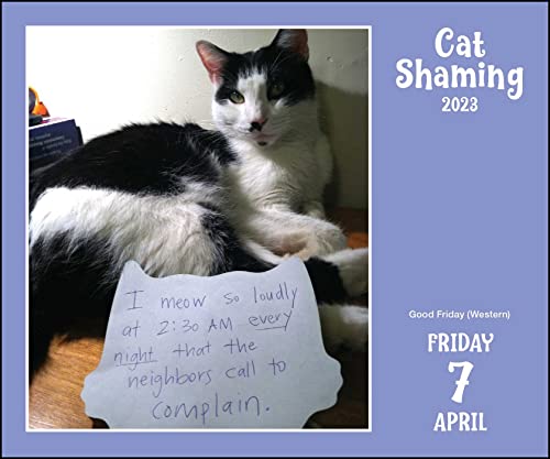 Cat Shaming 2023 Day-to-Day Calendar