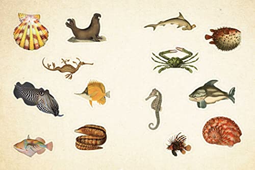 Cabinet of Curiosities: Over 1,000 Curated Stickers from the Fascinating Collections of the Smithsonian