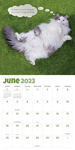 Chonkers Wall Calendar 2023: Irresistible Photos of Snozzy, Chonky Floofers Paired with Relaxation-Themed Quotes