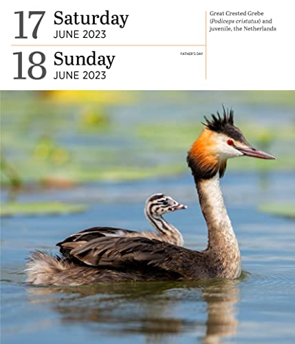 Audubon Birds Page-A-Day Gallery Calendar 2023: Hundreds of Birds, Expertly Captured by Top Nature Photographers