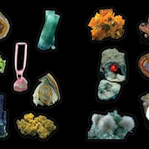 Cabinet of Curiosities: Over 1,000 Curated Stickers from the Fascinating Collections of the Smithsonian