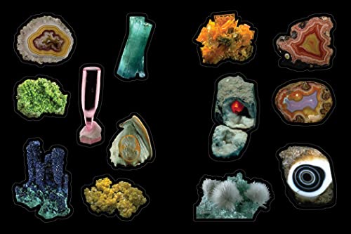 Cabinet of Curiosities: Over 1,000 Curated Stickers from the Fascinating Collections of the Smithsonian