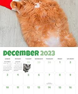 Chonkers Wall Calendar 2023: Irresistible Photos of Snozzy, Chonky Floofers Paired with Relaxation-Themed Quotes