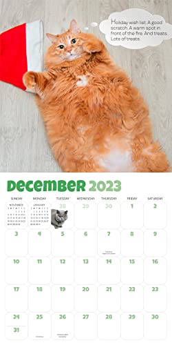 Chonkers Wall Calendar 2023: Irresistible Photos of Snozzy, Chonky Floofers Paired with Relaxation-Themed Quotes