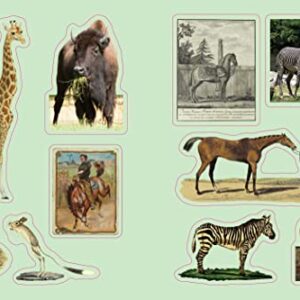 Cabinet of Curiosities: Over 1,000 Curated Stickers from the Fascinating Collections of the Smithsonian