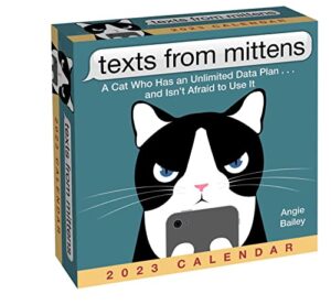 texts from mittens 2023 day-to-day calendar: a cat who has an unlimited data plan . . . and isn't afraid to use it