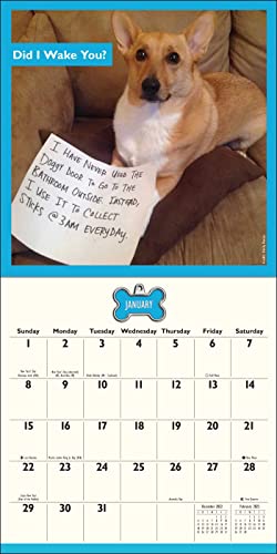 Dog Shaming 2023 Mini Wall Calendar