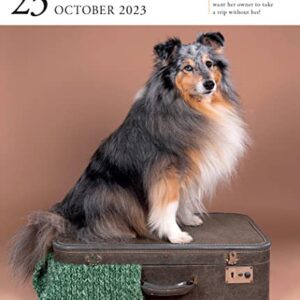 Dog Page-A-Day Gallery Calendar 2023: An Elegant Canine Celebration