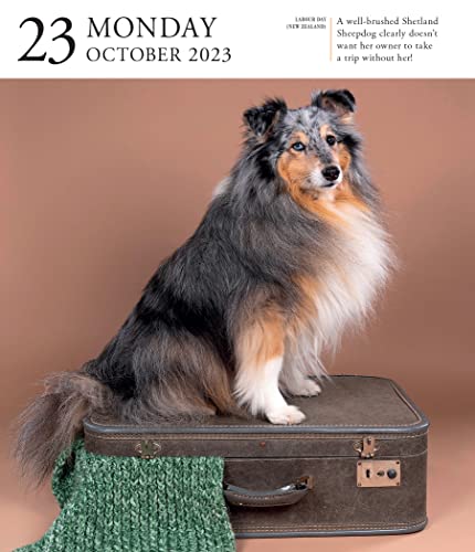 Dog Page-A-Day Gallery Calendar 2023: An Elegant Canine Celebration