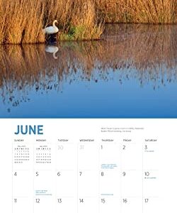 Audubon Nature Wall Calendar 2023: A Year of Breathtaking Vistas