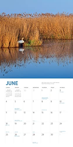 Audubon Nature Wall Calendar 2023: A Year of Breathtaking Vistas