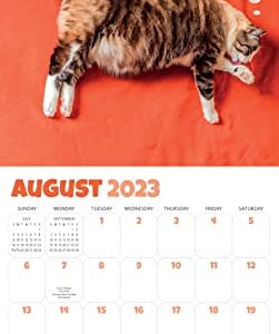 Chonkers Wall Calendar 2023: Irresistible Photos of Snozzy, Chonky Floofers Paired with Relaxation-Themed Quotes