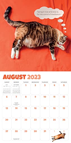 Chonkers Wall Calendar 2023: Irresistible Photos of Snozzy, Chonky Floofers Paired with Relaxation-Themed Quotes