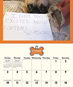 Dog Shaming 2023 Mini Wall Calendar