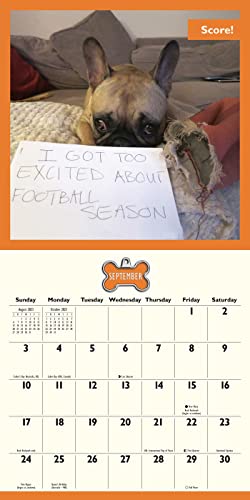 Dog Shaming 2023 Mini Wall Calendar