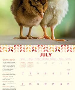 How to Speak Chicken Wall Calendar 2023: A Year of Chickens Doing What They Do & Saying What They Say