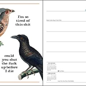 Effin' Birds 12-Month 2023 Monthly/Weekly Planner Calendar