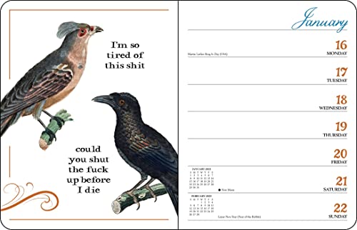 Effin' Birds 12-Month 2023 Monthly/Weekly Planner Calendar