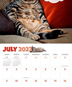 Chonkers Wall Calendar 2023: Irresistible Photos of Snozzy, Chonky Floofers Paired with Relaxation-Themed Quotes