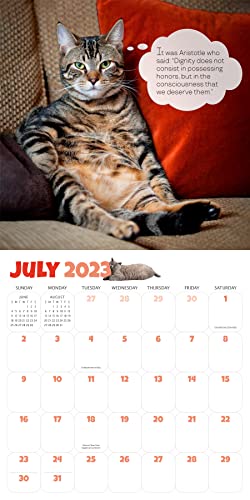 Chonkers Wall Calendar 2023: Irresistible Photos of Snozzy, Chonky Floofers Paired with Relaxation-Themed Quotes