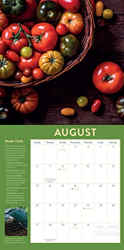 The Year-Round Vegetable Gardener Wall Calendar 2023: Expert Advice for Growing Your Own Food 365 Days a Year