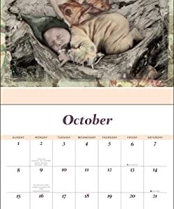 Anne Geddes 2023 Wall Calendar