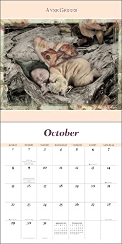 Anne Geddes 2023 Wall Calendar