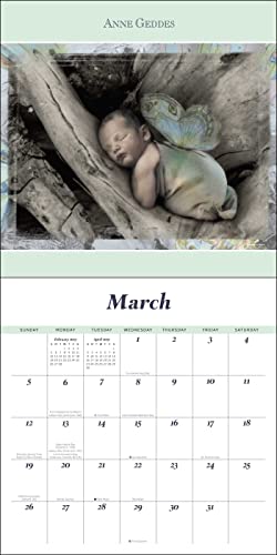 Anne Geddes 2023 Wall Calendar