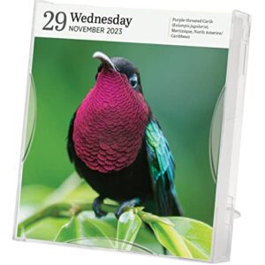 Audubon Birds Page-A-Day Gallery Calendar 2023: Hundreds of Birds, Expertly Captured by Top Nature Photographers