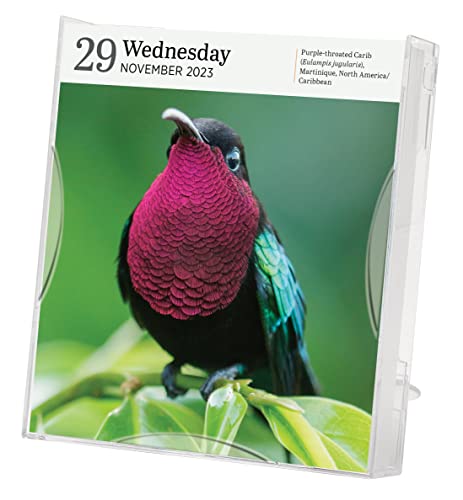 Audubon Birds Page-A-Day Gallery Calendar 2023: Hundreds of Birds, Expertly Captured by Top Nature Photographers