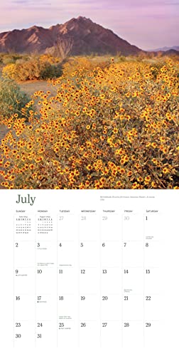 Audubon Desert Wildflowers Wall Calendar 2023: A Visual Delight for Nature Lovers and Gardeners Alike