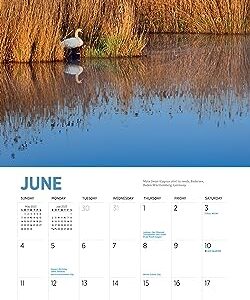 Audubon Nature Wall Calendar 2023: A Year of Breathtaking Vistas