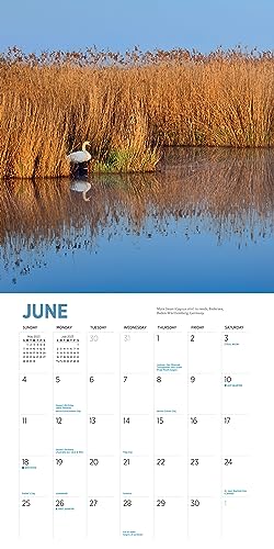 Audubon Nature Wall Calendar 2023: A Year of Breathtaking Vistas