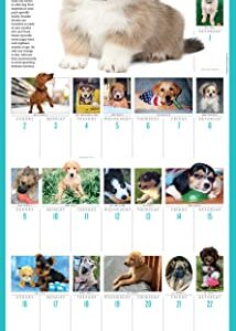 365 Puppies-A-Year Picture-A-Day Wall Calendar 2023: Absolutely Spilling Over With Puppies