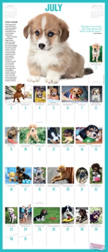 365 Puppies-A-Year Picture-A-Day Wall Calendar 2023: Absolutely Spilling Over With Puppies