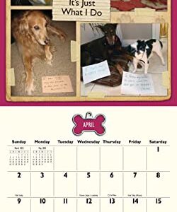 Dog Shaming 2023 Wall Calendar