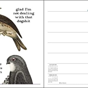 Effin' Birds 12-Month 2023 Monthly/Weekly Planner Calendar