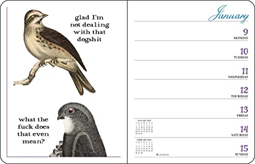 Effin' Birds 12-Month 2023 Monthly/Weekly Planner Calendar