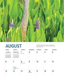 Audubon Nature Wall Calendar 2023: A Year of Breathtaking Vistas